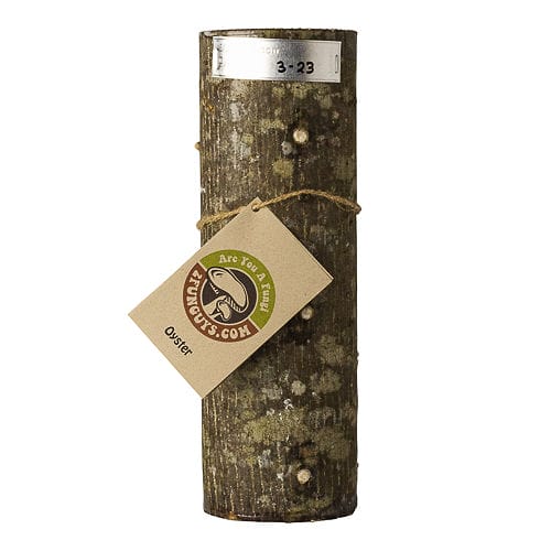 Mushroom Growers | 2 Fun Guys | Shiitake and Oyster Mushrooms