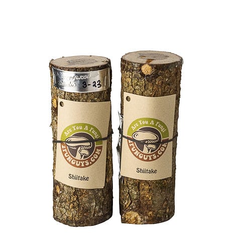 Mr. Stumpy Shiitake Log - 2FunGuys