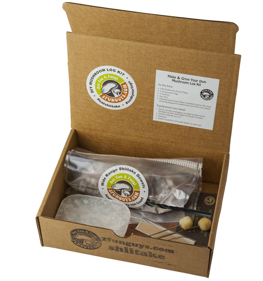 Mushroom Growers | 2 Fun Guys | Shiitake and Oyster Mushrooms